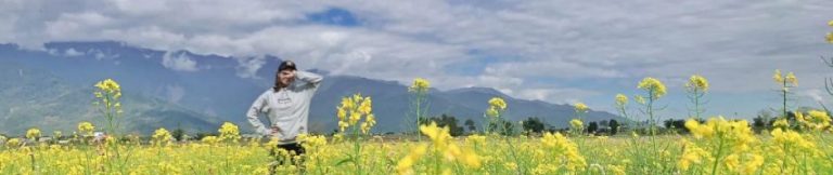 Application of light rendering technology in stained glass scene model ...